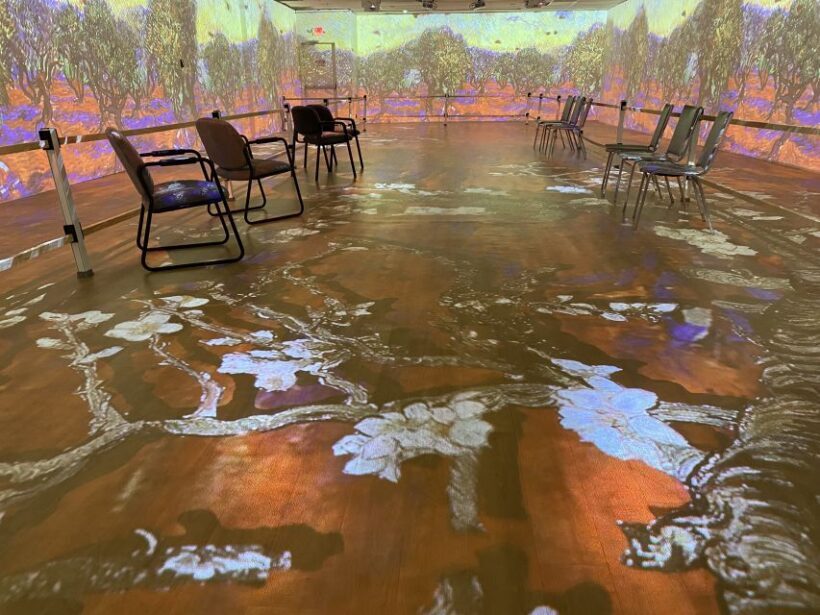 Cape Canaveral: Wizard of Oz Museum Entry Ticket - Frequently Asked Questions (FAQs)