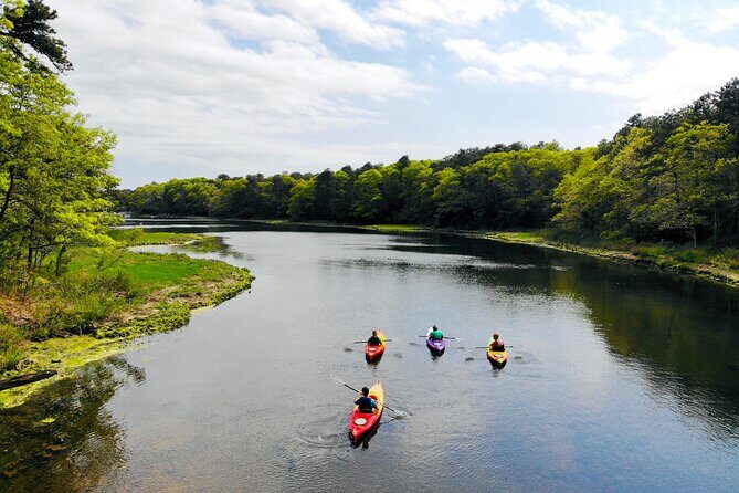 Cape Cod Kayak Rentals in Popponesset Bay Mashpee - Analyzing Price and Value