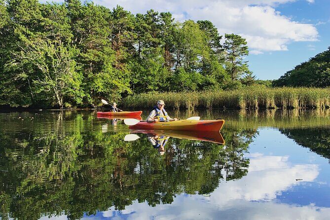 Cape Cod Kayak Rentals in the Great Marsh - The Scenic Setting and Wildlife