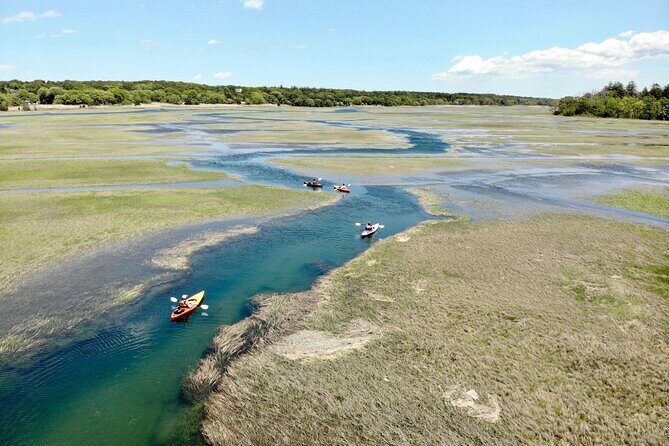Cape Cod Kayak Rentals in the Great Marsh - Who Should Consider This Experience: