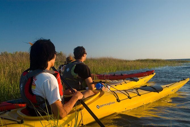 Cape Hatteras Kayak Adventure in Rodanthe - Who Should Book This Tour?