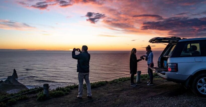 Cape Kidnappers: Gannet Colony Exclusive Sunrise Tour - The Experience in Detail