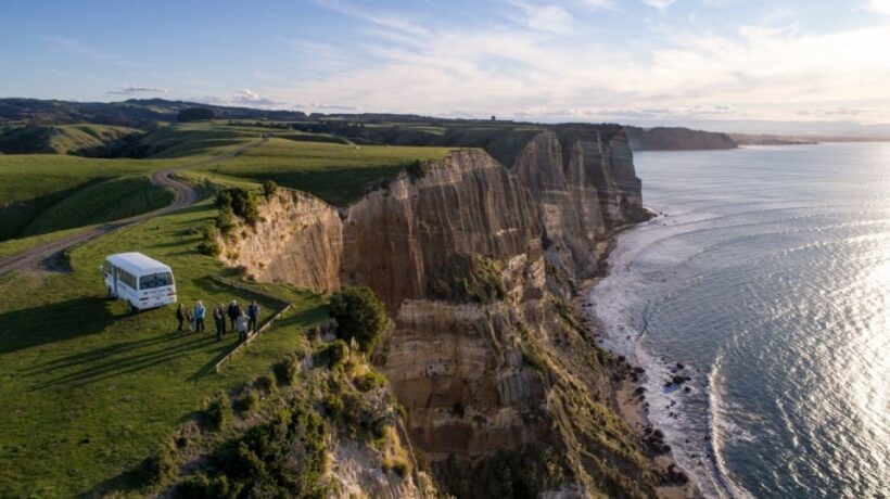 Cape Kidnappers: Gannet Colony Exclusive Sunrise Tour - Authenticity and Reviews