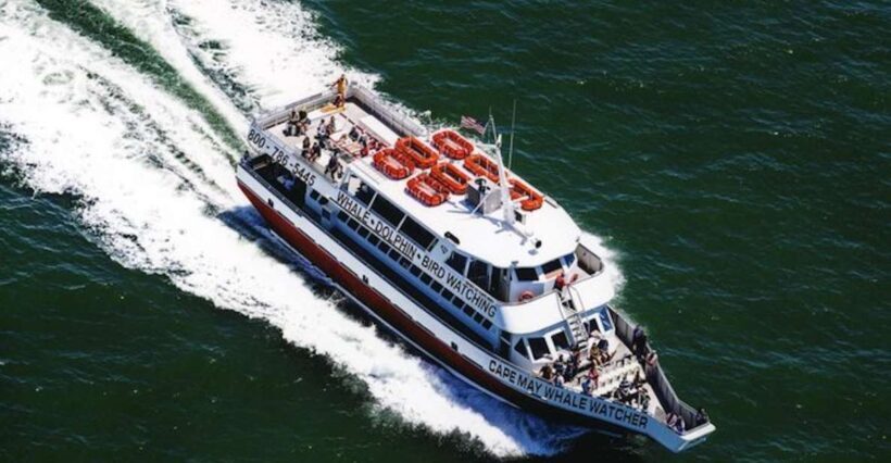 Cape May: Grand Lighthouse Cruise - A Deep Dive into the Cape May Grand Lighthouse Cruise Experience