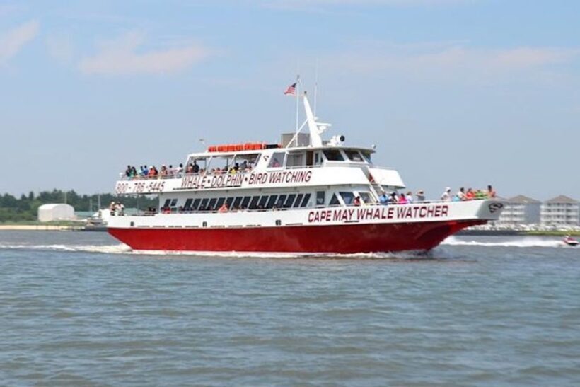 Cape May: Grand Lighthouse Cruise - FAQ