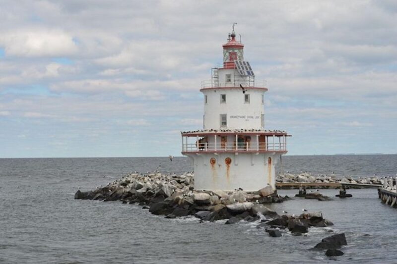 Cape May: Grand Lighthouse Cruise - The Sum Up