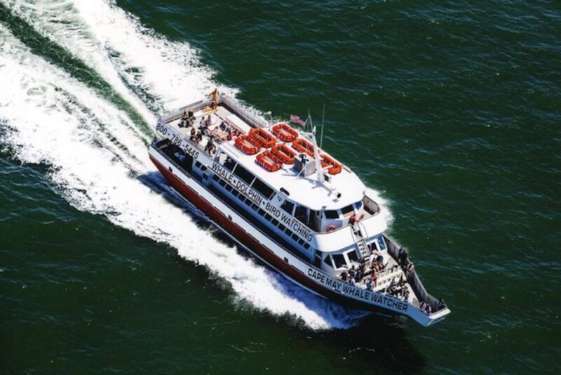 Cape May: Grand Lighthouse Cruise - FAQ