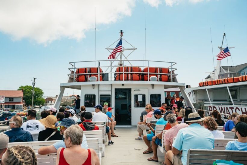 Cape May: Jersey Shore Whale and Dolphin Watching Cruise - Who Should Consider This Tour?