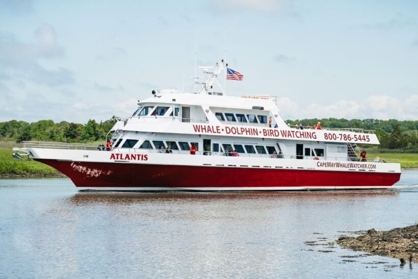 Cape May: Jersey Shore Whale and Dolphin Watching Cruise - FAQs