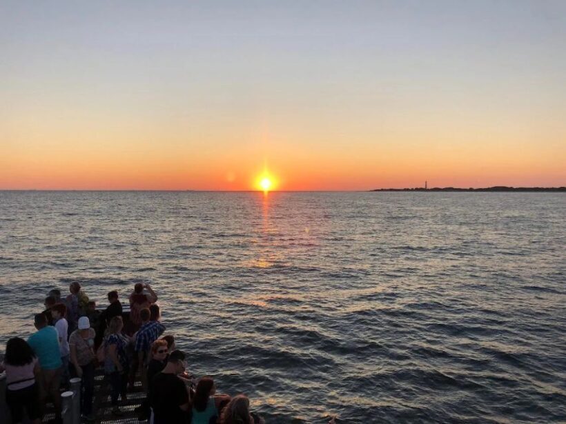 Cape May: Sunset Dolphin Cruise with Optional Wine Tastings - An Overview of the Experience