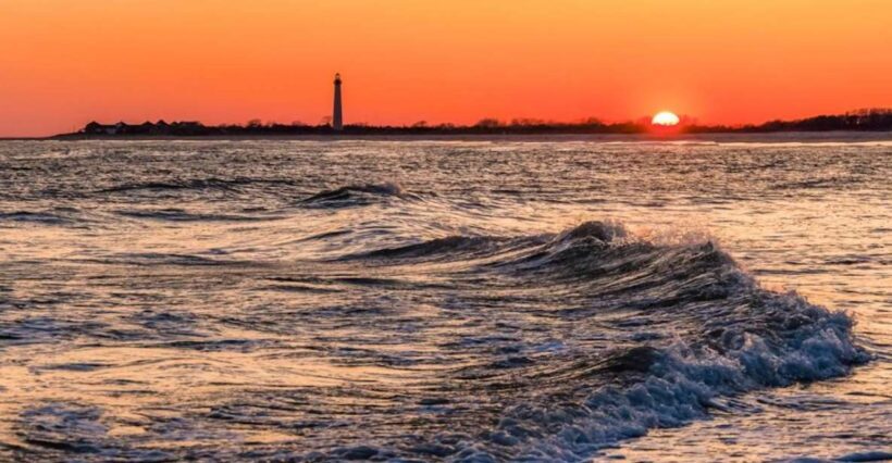 Cape May: Sunset Dolphin Cruise with Optional Wine Tastings - What the Reviews Say