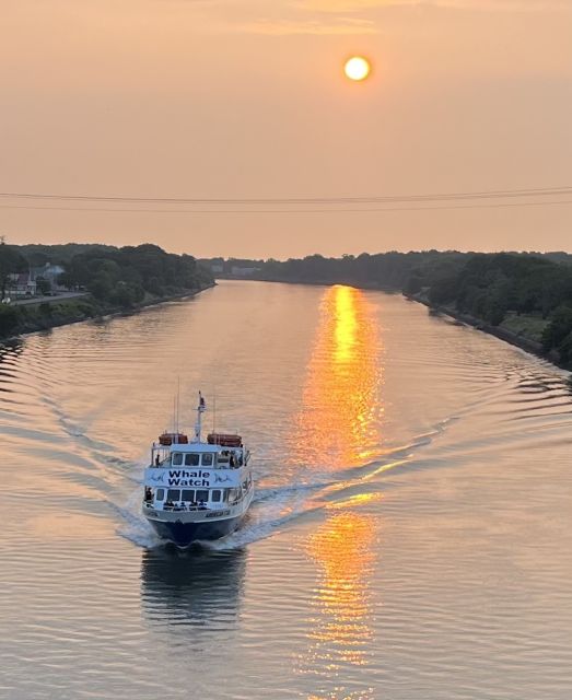 Cape May: Sunset Dolphin Watching Cruise with Food - Key Points