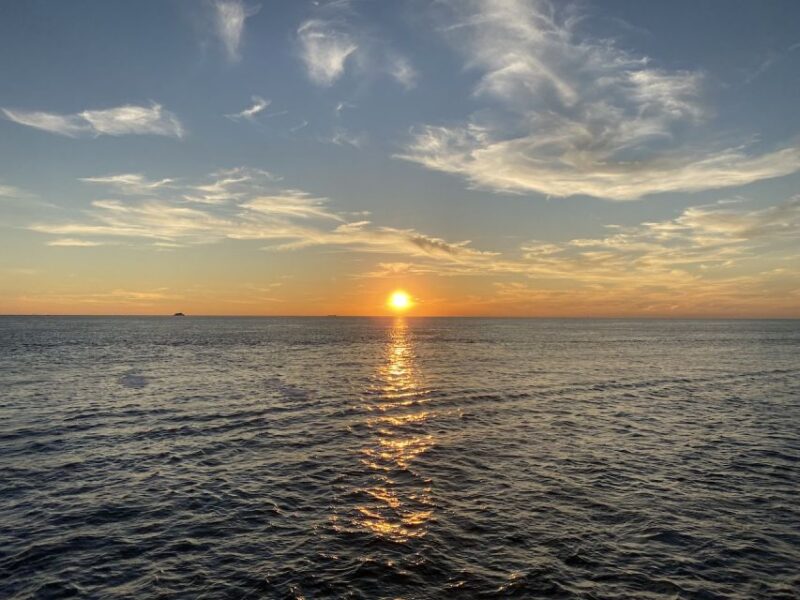 Cape May: Sunset Dolphin Watching Cruise with Food - Who Will Love This Tour?