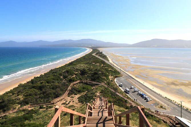 Cape Raoul Cruises Day Tour from Hobart - FAQ