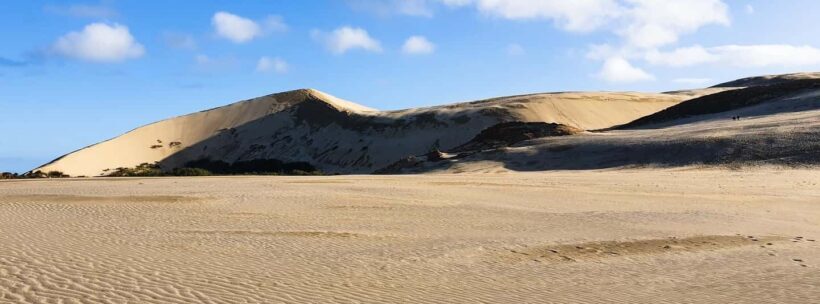 Cape Reinga: Day Trip from Paihia, Kerikeri, or Kaitaia - Key Points