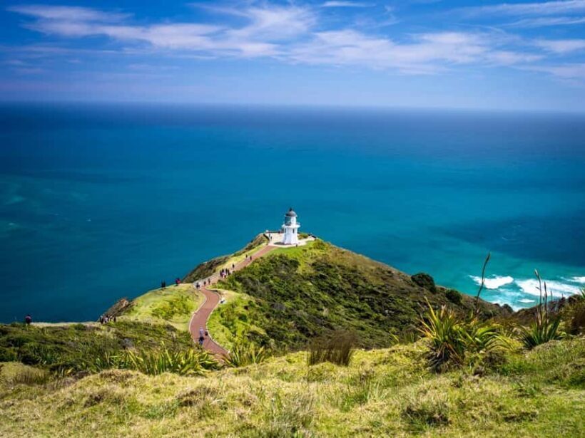 Cape Reinga: Day Trip from Paihia, Kerikeri, or Kaitaia - Journey Through the North Island’s Most Iconic Spots