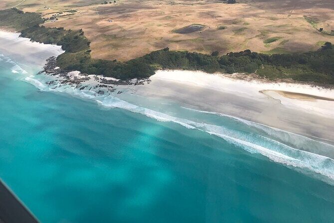 Cape Reinga Half-Day Tour Including Scenic Flight - What to Expect from This Tour