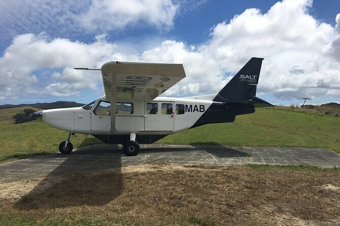 Cape Reinga Half-Day Tour Including Scenic Flight - The Experience and the Reviews