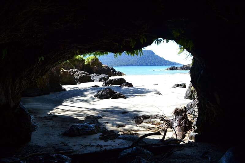 Cape Scott: San Josef Bay Day Hike with Scenic Drive - Is This Tour Worth the Price?