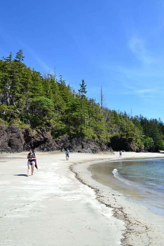 Cape Scott: San Josef Bay Day Hike with Scenic Drive - Who Should Consider This Tour?