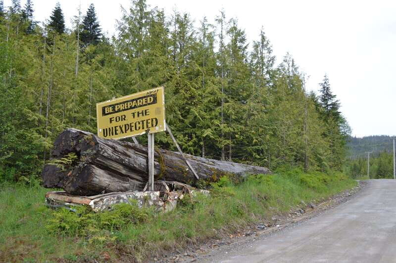 Cape Scott: San Josef Bay Day Hike with Scenic Drive - Final Thoughts