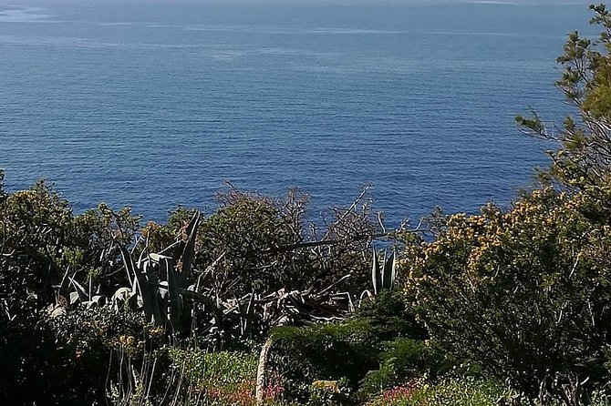 Cape Sounio and Temple of Poseidon Half Day Private Tour - Ending with Lake Vouliagmeni: A Tranquil Finale