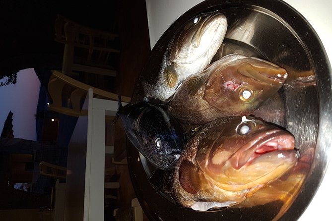 Cape Sounio and Temple of Poseidon Private Trip From Athens - Accessibility and Participation