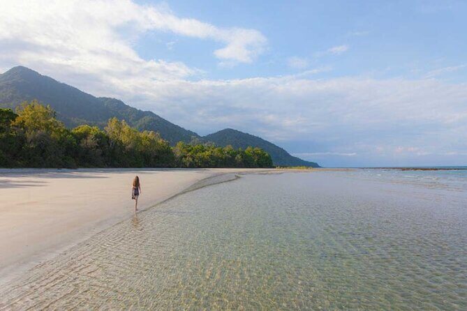 Cape Tribulation and Daintree Wilderness Day Tour in Cairns - Exploring the Itinerary: What You Can Expect