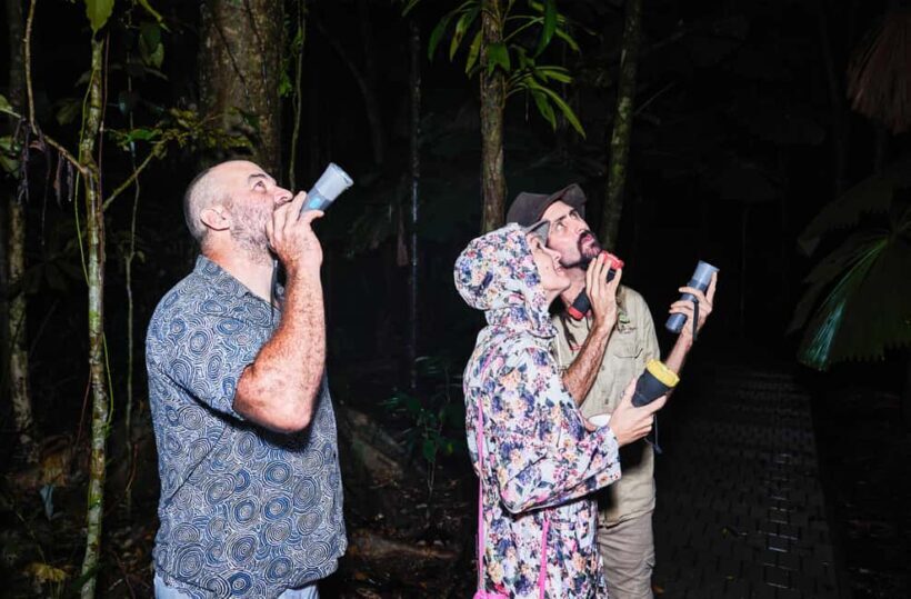 Cape Tribulation: Daintree Rainforest Night Walk Tour - Who Will Love This Tour?