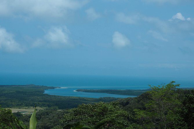 Cape Tribulation & Daintree Wilderness (TCT) - A Day in the Daintree: Detailed Exploration