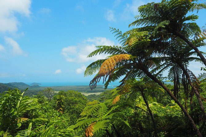 Cape Tribulation & Daintree Wilderness (TCT) - Who Will Love This Tour?