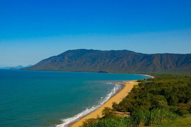 Cape Tribulation Day Tour - Authentic Experiences and the Guides Role