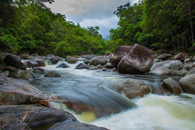 Cape Tribulation Day Tour - Who Would Enjoy This Tour?