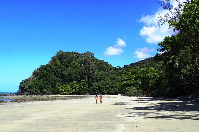 Cape Tribulation Day Tour from Cairns - The Sum Up