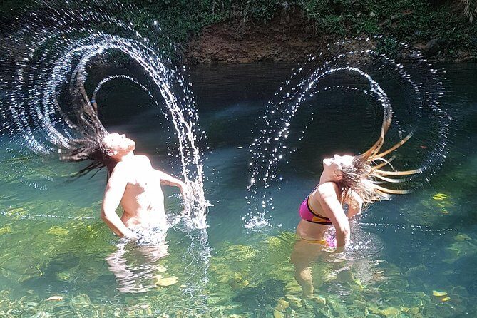 Cape Tribulation Day Tour from Cairns - FAQs