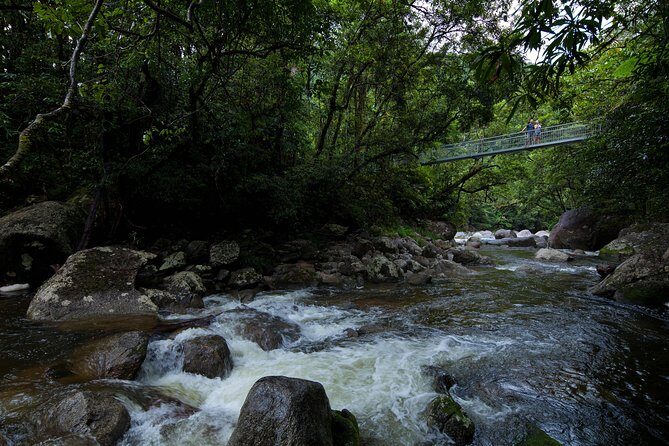 Cape Tribulation, Mossman Gorge and Daintree Rainforest Day Tour - Key Points