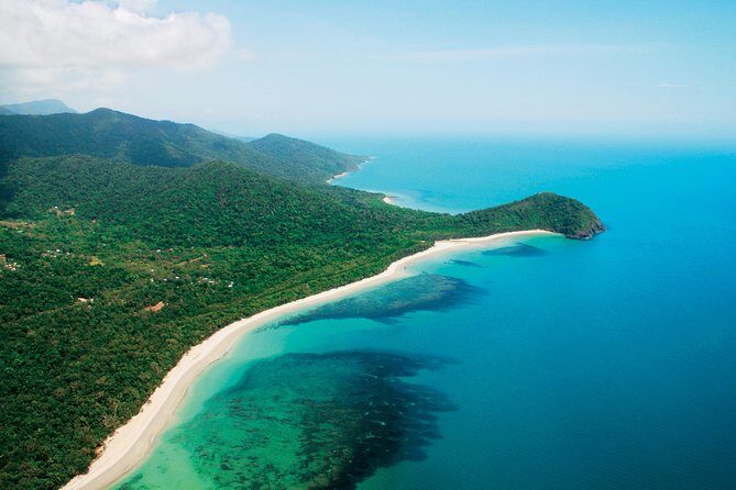 Cape Tribulation, Mossman Gorge and Daintree Rainforest Day Tour - What Travelers Say: Authentic Insights from Reviews