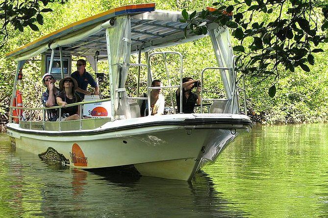 Cape Tribulation, Mossman Gorge and Daintree Rainforest Day Tour - Practical Details: What You Need to Know