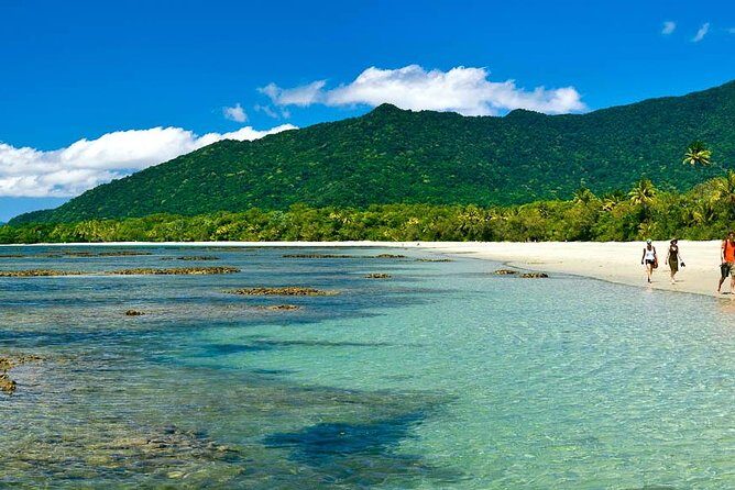 Cape Tribulation, Mossman Gorge and Daintree Rainforest Day Tour - The Sum Up