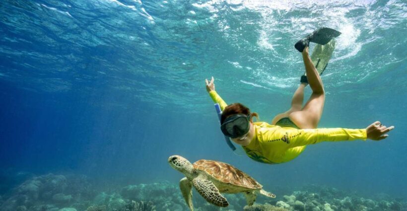 Cape Tribulation Ocean Safari - Great Barrier Reef Adventure - Final Thoughts: Is It Worth It?