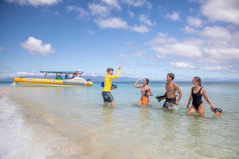 Cape Tribulation Ocean Safari - Great Barrier Reef Adventure - FAQs