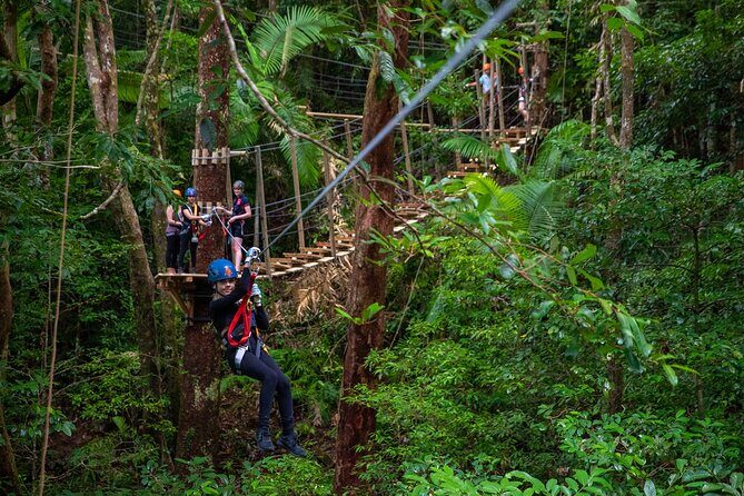 Cape Tribulation & Ziplining: Ultimate Daintree - Exploring the Cape Tribulation & Ziplining: The Ultimate Daintree Experience