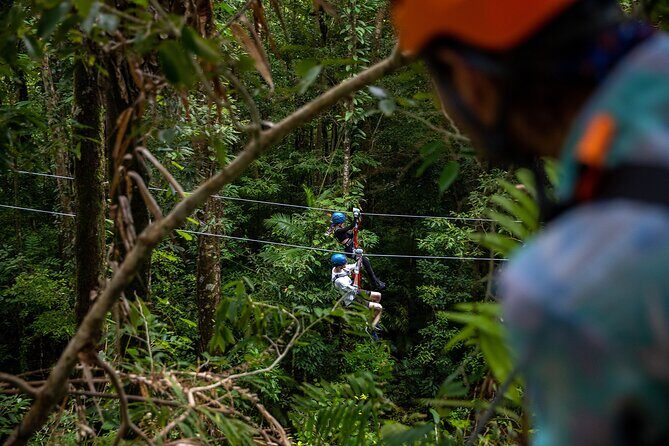 Cape Tribulation & Ziplining: Ultimate Daintree - Frequently Asked Questions