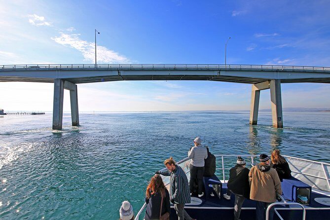 Cape Woolamai Sightseeing Cruise from San Remo - Key Points
