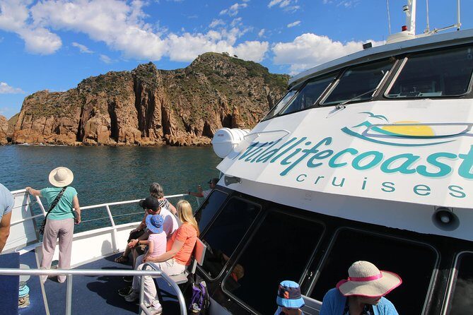 Cape Woolamai Sightseeing Cruise from San Remo - A Detailed Look at the Experience