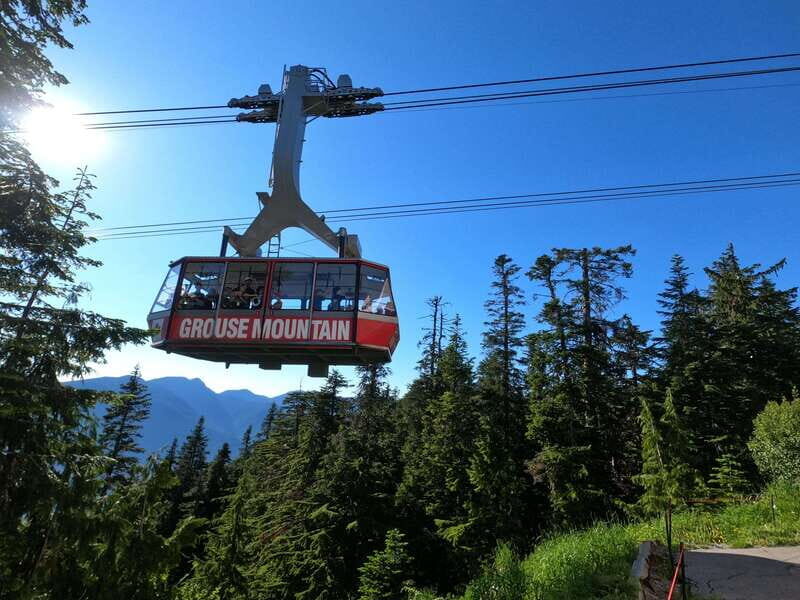 Capilano Br+Granville Isl+Capilano Hatchery+Lynn Canyon Tour - The Sum Up