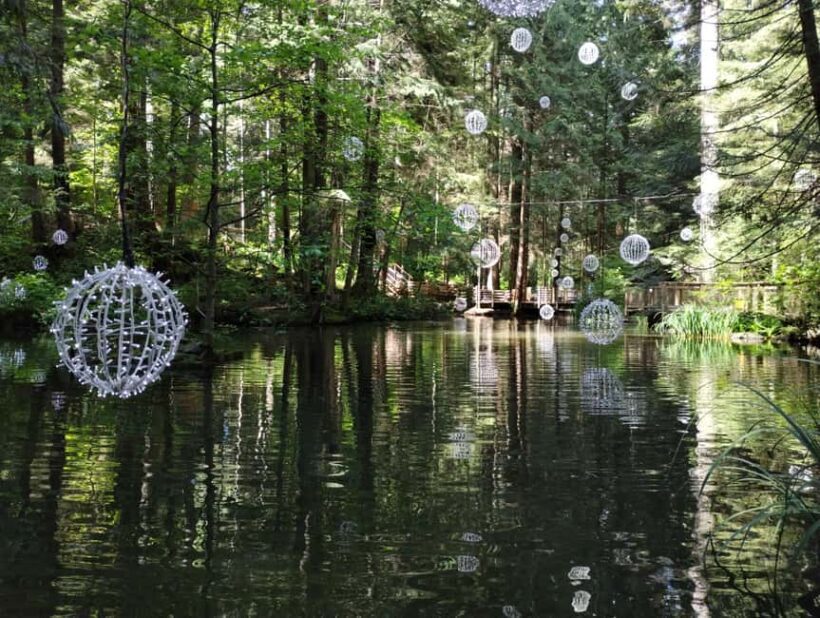 Capilano Br+Grouse Mtn+Dam+Lake&Hatcher/5in1/Small Group/Car - Final Thoughts