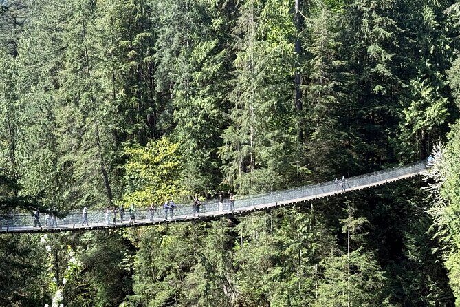 Capilano Br+Grouse Mtn+Dam+Lake+Hatchery/5in1CarTour+Small Group - An In-Depth Look at the Itinerary
