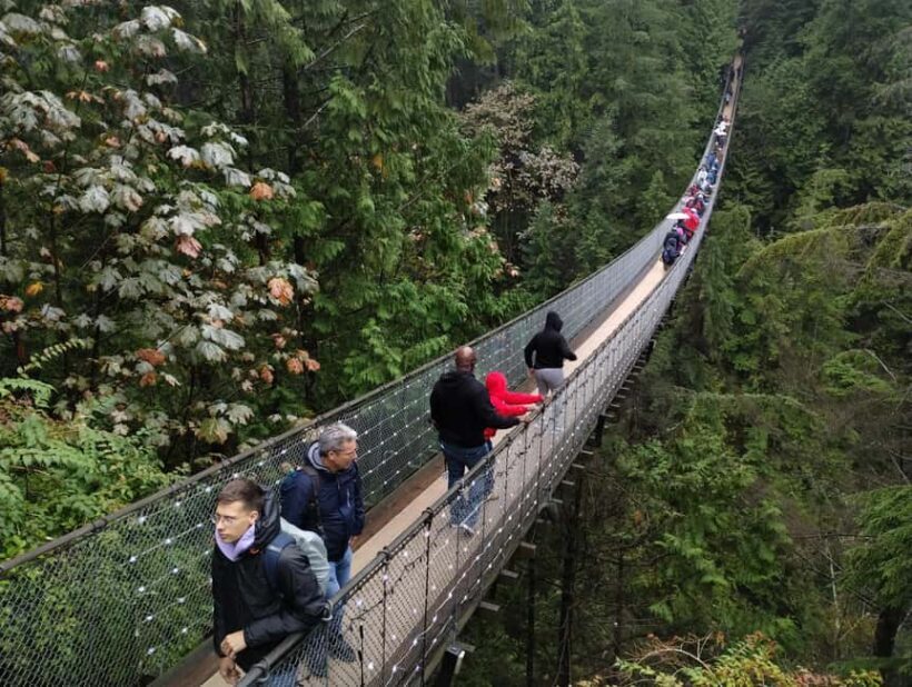 CAPILANO BR+GROUSE Mtn+STANLEY P+DAM+LAKE+HATCHERY/CAR/9in1 - What Makes This Tour Stand Out