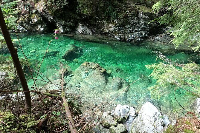 Capilano Bridge+Granville Isl+ Capilano Hatchery+Lynn Canyon Tour - Frequently Asked Questions